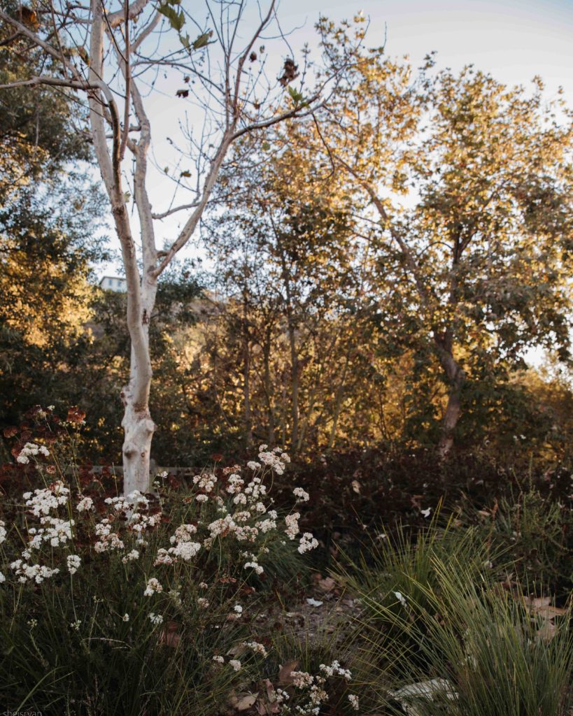 The Trends Cuts And Colors Of The Season: Fall Pants for Women